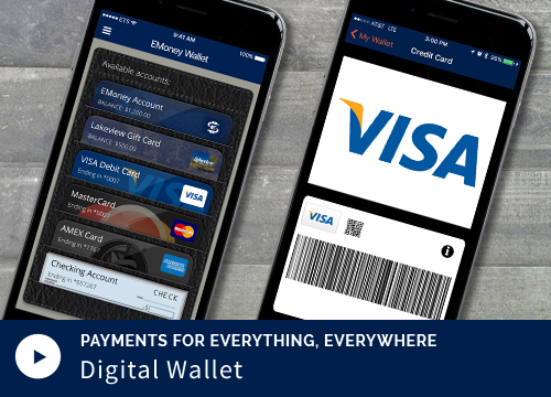 The Most Powerful Financial Product Suite in the Industry | EMoney